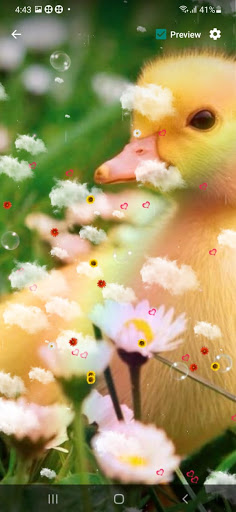 Cute Duck Wallpaper for PC / Mac / Windows 11,10,8,7 - Free Download ...