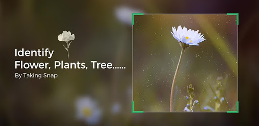 Plant Identification - Flower Identification Android App