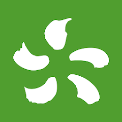 Luminus store