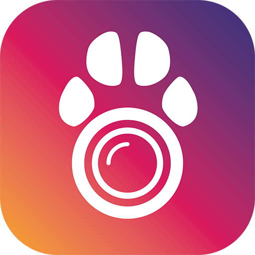 PetCam App - Monitor de Perro - Apps en Google Play