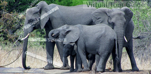 Virtual Tour Guide Android App