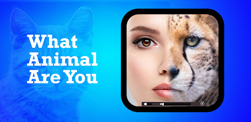 What Animal Do I Look Like App Android App