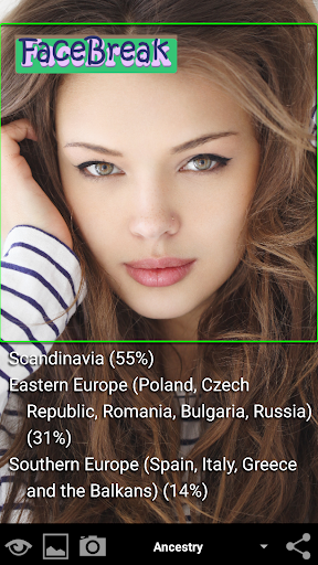 FaceBreak - Face Shape & More for PC / Mac / Windows 11,10,8,7 - Free ...