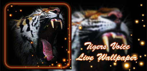 Tigers Voice Live Wallpaper Android App