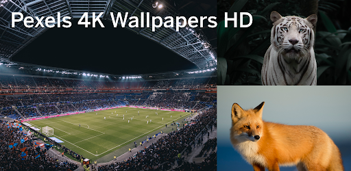 Pexels 4K Wallpapers HD Android App