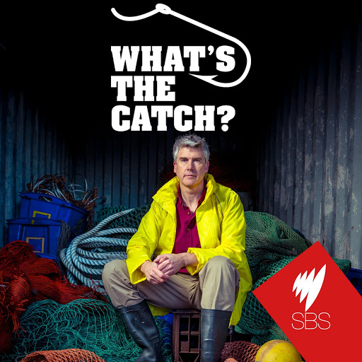 What's the Catch? - TV en Google Play