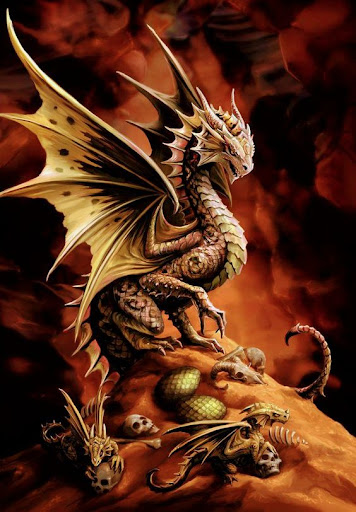 HD Dragon Wallpapers for PC / Mac / Windows 11,10,8,7 - Free Download ...