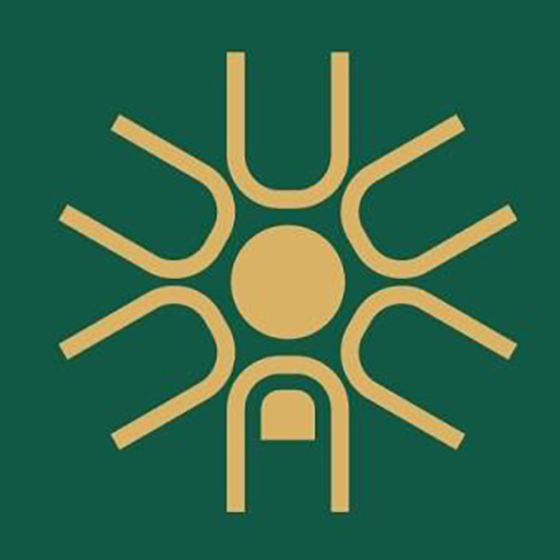 Solify - Apps on Google Play