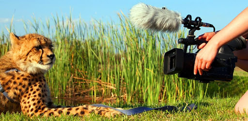 Wild Animals - Documentary Online 🦁 Android App