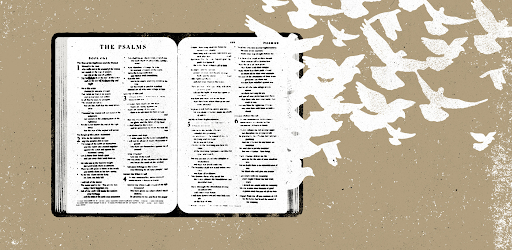 ChiTonga Bible Android App