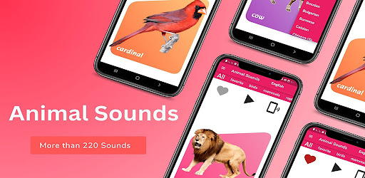 Animal Sounds Android App