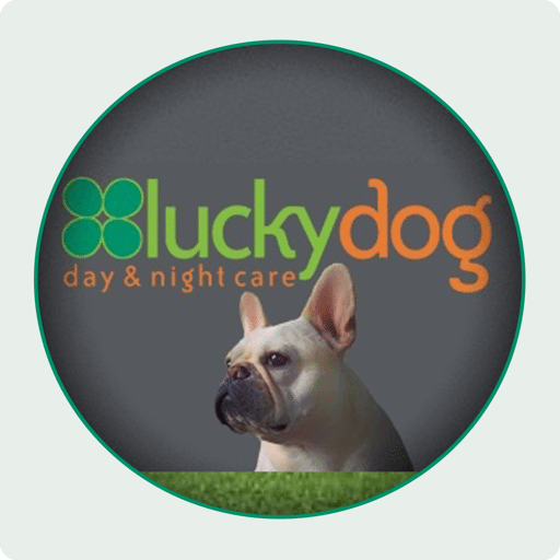 Luckydog Day & Night Care - Google Play 應用程式