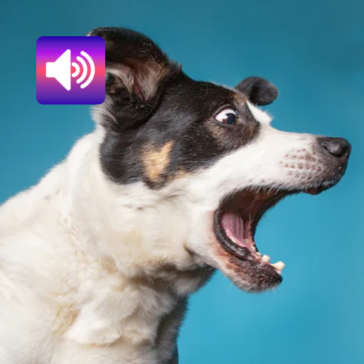Dog: Sounds & Ringtones - Apps on Google Play