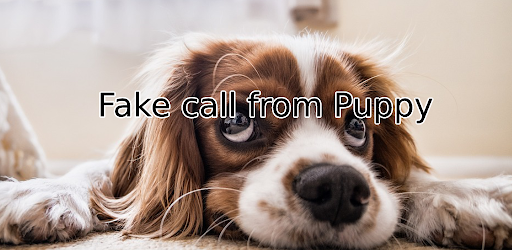 Call from cute Puppy Dog Android App