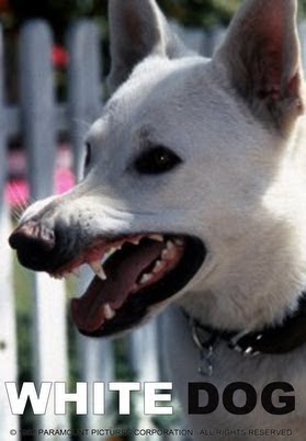 White Dog - Movies on Google Play