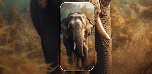 Animal Wallpaper App Android App