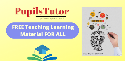 Pupils Tutor Android App