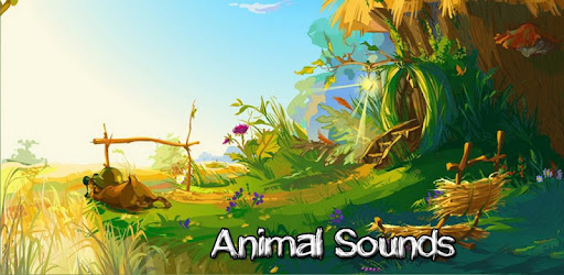 Animal Sounds Android App