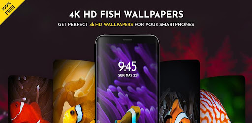 4K HD Fish Wallpaper Android App