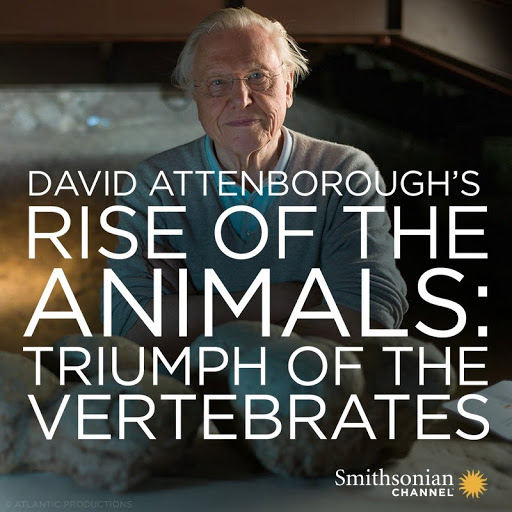 David Attenborough’s Rise of Animals: Triumph of the Vertebrates - TV ...