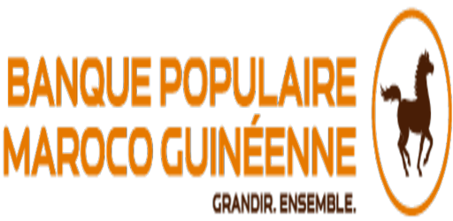 BPMG Mobile App Android App