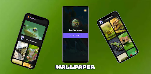 Frog Wallpaper for PC / Mac / Windows 11,10,8,7 - Free Download ...