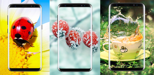 Macro Wallpapers HD Android App