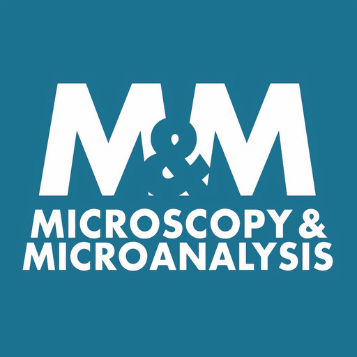 M&M 2025 - Apps on Google Play