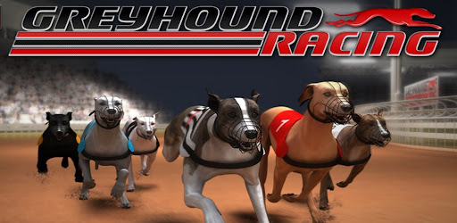 Greyhound Racing Mini Games for PC / Mac / Windows 11,10,8,7 - Free ...