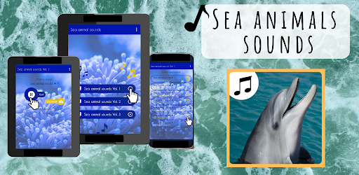 Sea Animal Sounds. Android App