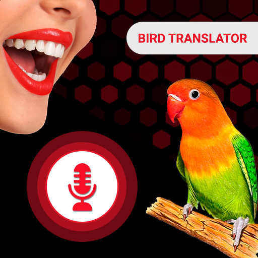 All Birds Voice Translator App for PC / Mac / Windows 11,10,8,7 - Free Download - Napkforpc.com