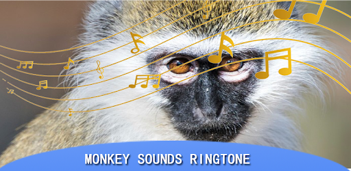 Monkey Sounds Ringtone Android App