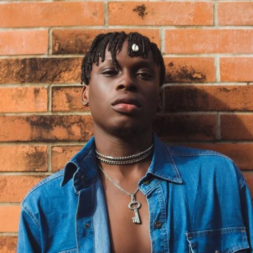 FIREBOY SONGS APP for PC / Mac / Windows 11,10,8,7 - Free Download ...