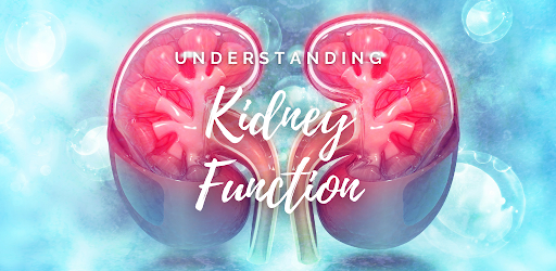 Understanding Kidney Function Android App