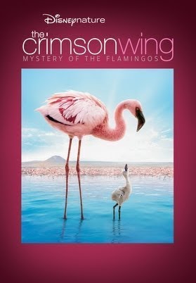 The Crimson Wing: Mystery of the Flamingo - Movies on Google Play