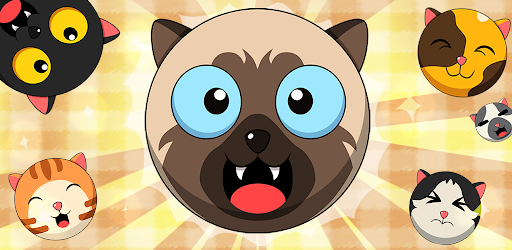 Watermelon Game: Cat Android App