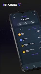 Starlex電腦版下載 - 雷電模擬器