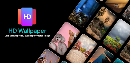4K Wallpapers- Video Wallpapers & Live Backgrounds Android App