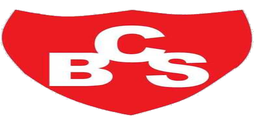 CBS Group Android App