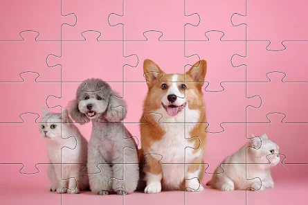 Dogs jigsaw puzzles Aplikacje w Google Play