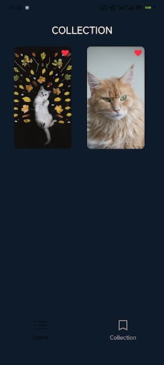 「Cool Wallpaper:4K Wallpaper」 - Androidアプリ | APPLION