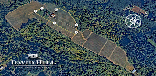 David Hill Vineyard Hike Android App