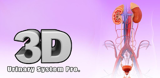 Urinary System Pro.
