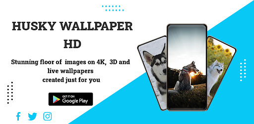 Husky Wallpaper HD Android App