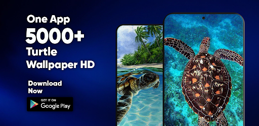 Turtle Wallpaper Android App