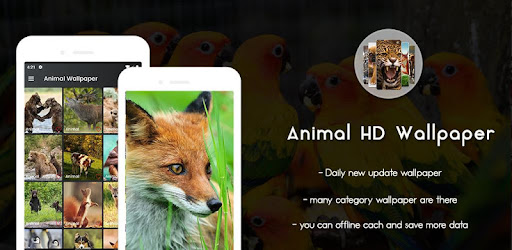 Animal HD wallpaper - wild animal hd wallpaper Android App