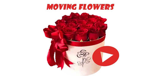 Animated Moving Flowers stickers for Whatsapp Android App