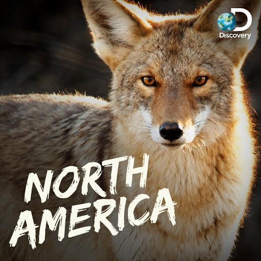 North America - รายการทีวีใน Google Play