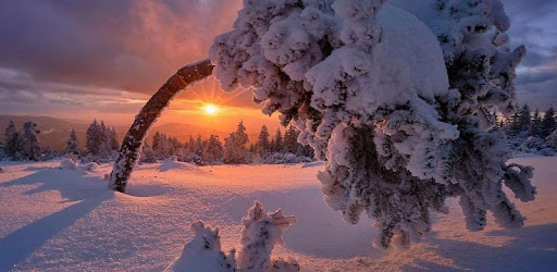 Winter Wallpapers and Backgrounds 2021 Android App