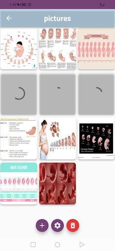 fetus size chart for PC / Mac / Windows 11,10,8,7 - Free Download ...